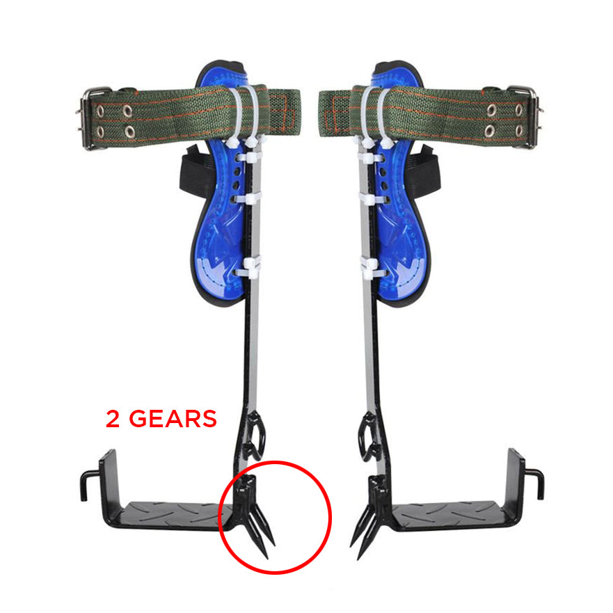 Professional Tree Climbing Spikes - Ideal for Picking Fruit, Cutting t